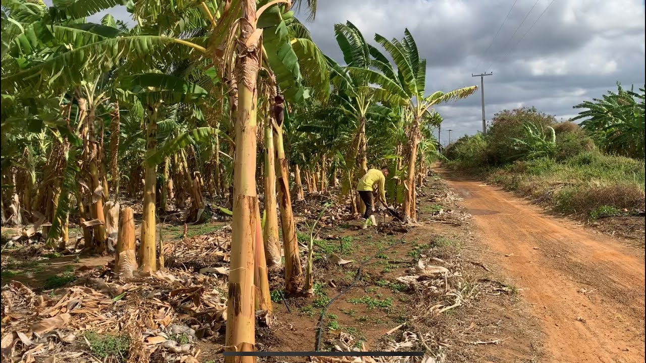 MAIS UMA SOCIEDADE - YouTube