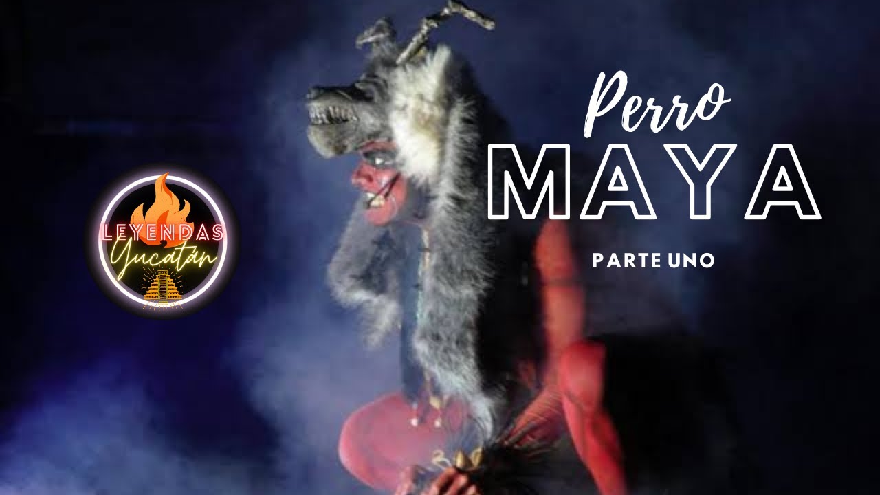 Perro maya - la visión de los mayas hacia los perros pelones - YouTube