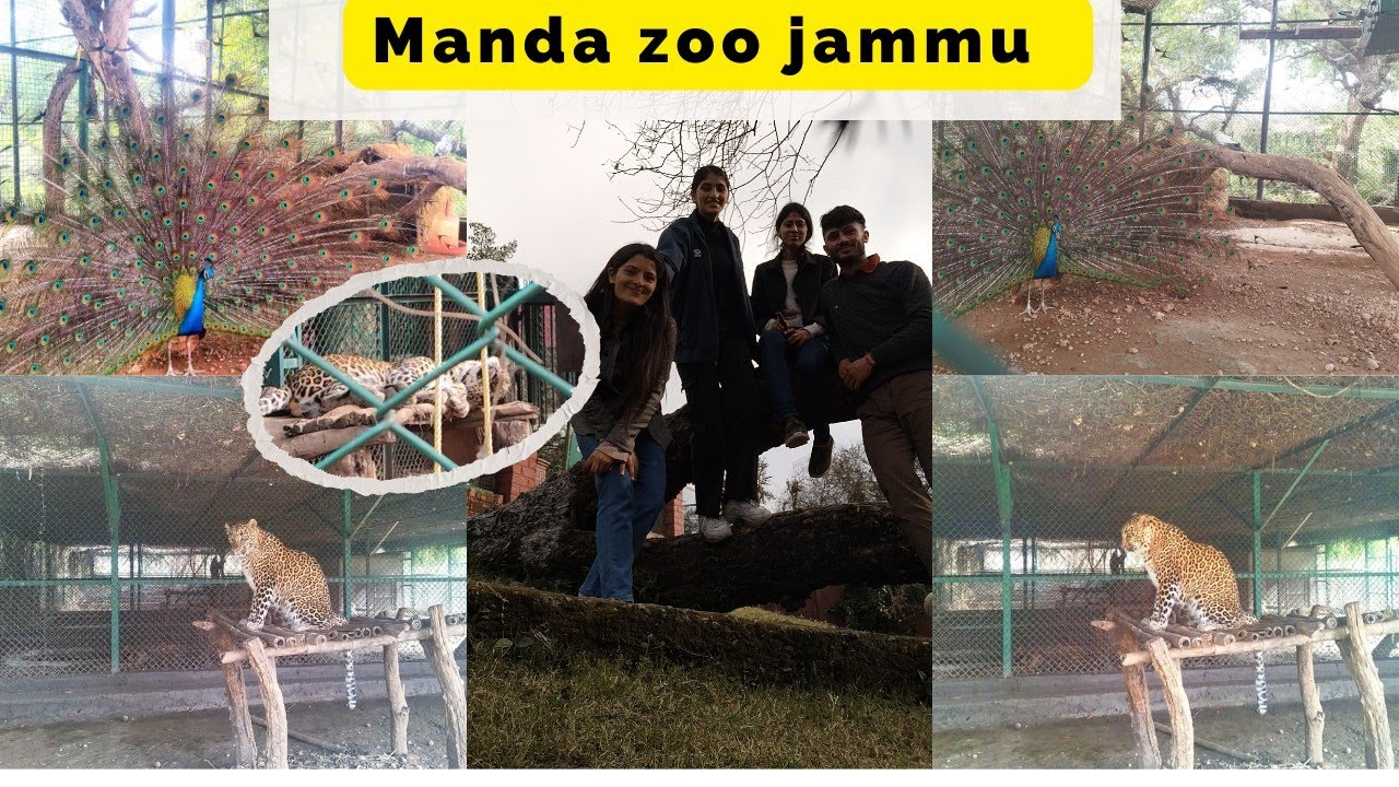 visit Manda zoo 🐘🐼🐯 with Friends 😆ll #jammu #zoo - YouTube