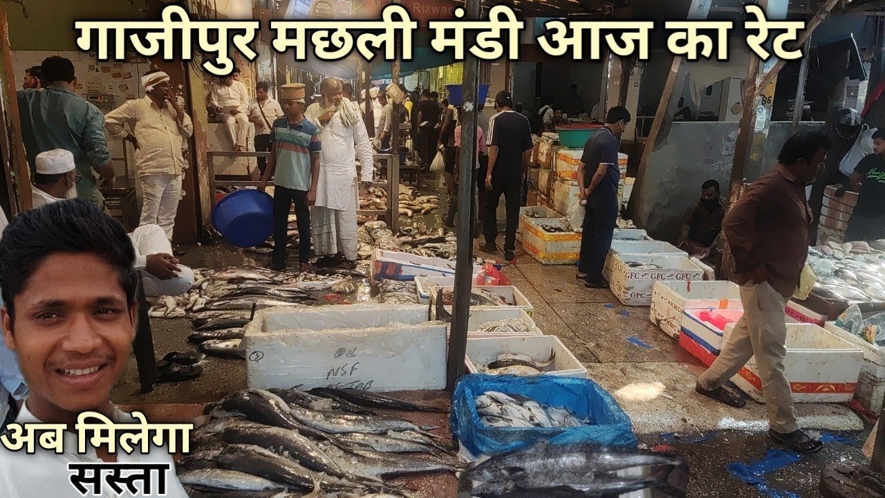 Ghazipur Fish Mandi Delhi Today Price ghazipur machli mandi wholesale ...