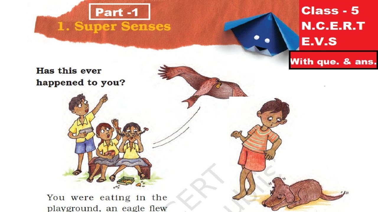 NCERT | Class 5 EVS | Chapter 1 | Super Senses Part 1 | हिंदी में - YouTube
