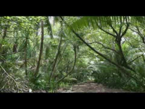 Olohega or Swains Island Part 2 of 3 Tagata Pasifika - YouTube