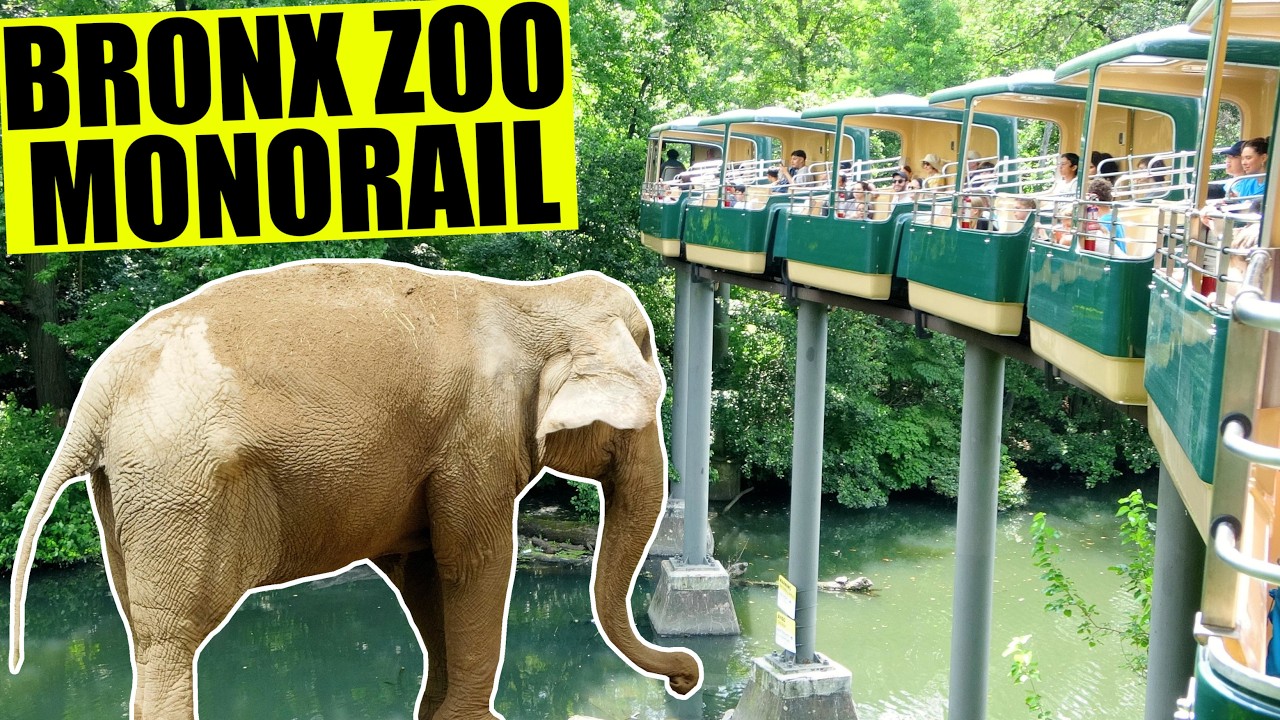 Bronx Zoo Monorail (Bengali Express Wild Asia Monorail Ride) POV - YouTube