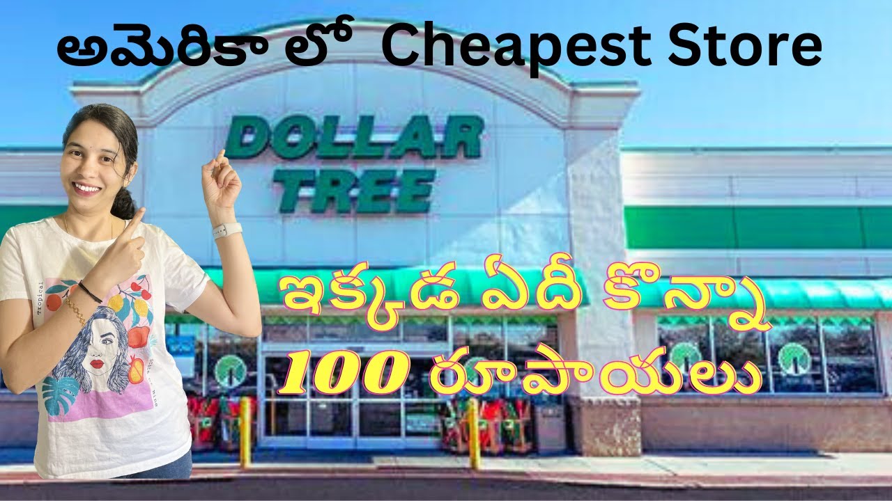 అమెరికాలో Cheapest Store|ఇక్కడ ఏదీ కొన్నా 100 రూపాయలు|new items at ...
