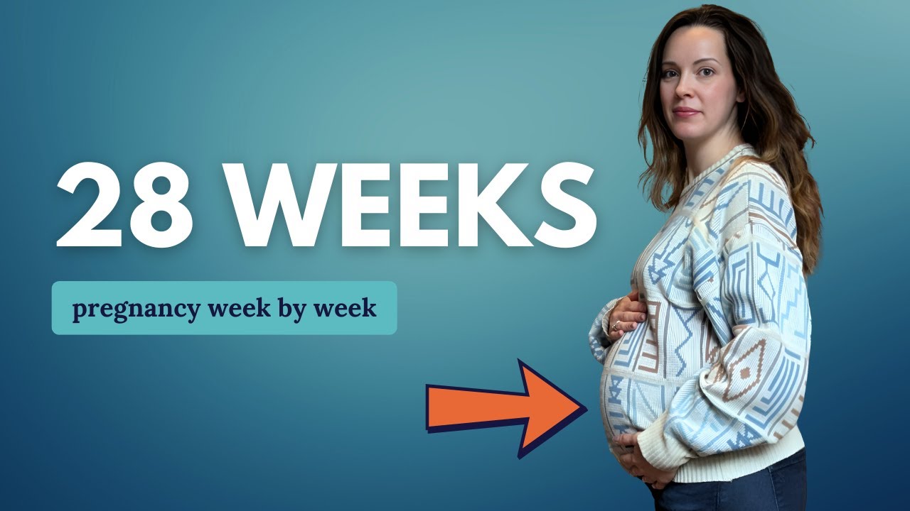 28 Weeks Pregnant 🤰 What to Expect: Changes for You & Baby Movement and ...