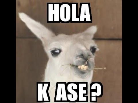hola que ase - YouTube