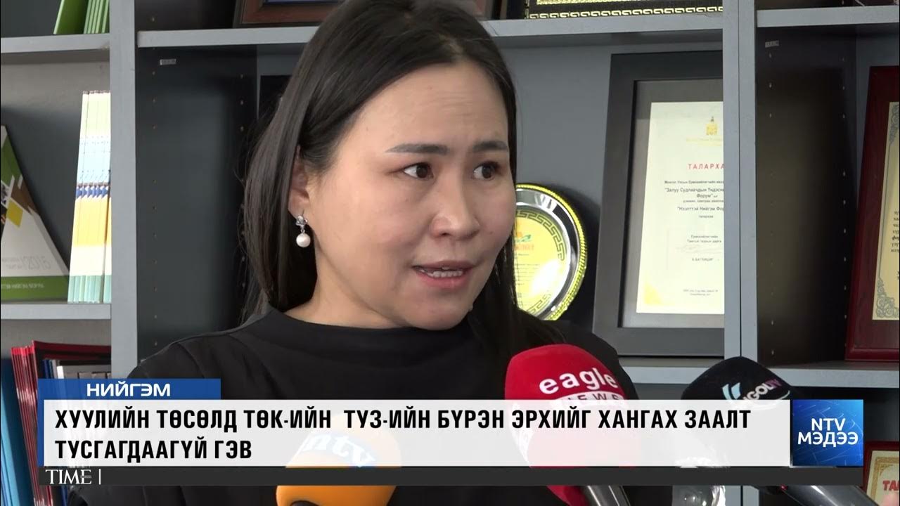 ТӨРИЙН БОЛОН ОРОН НУТГИЙН ӨМЧИТ КОМПАНИЙН ТУХАЙ ХУУЛИЙН НЭМЭЛТ