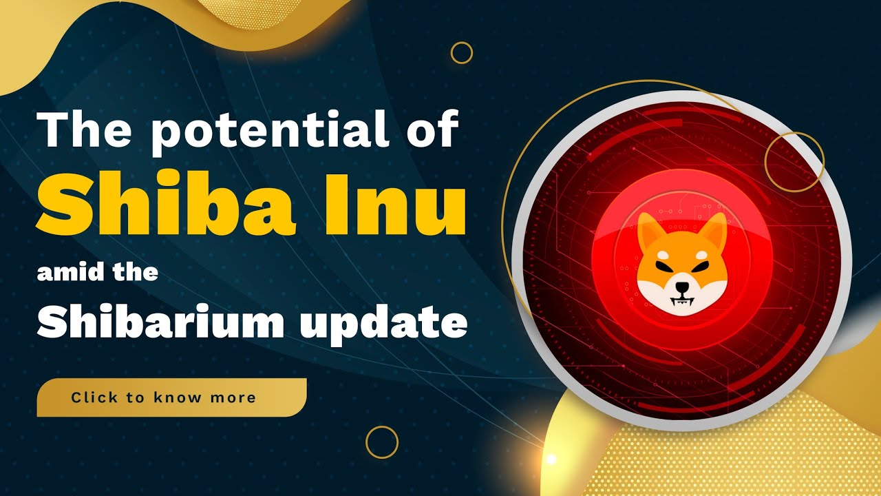 What is the Shiba Inu Coin? SHIB Explained | What future does shiba Inu ...