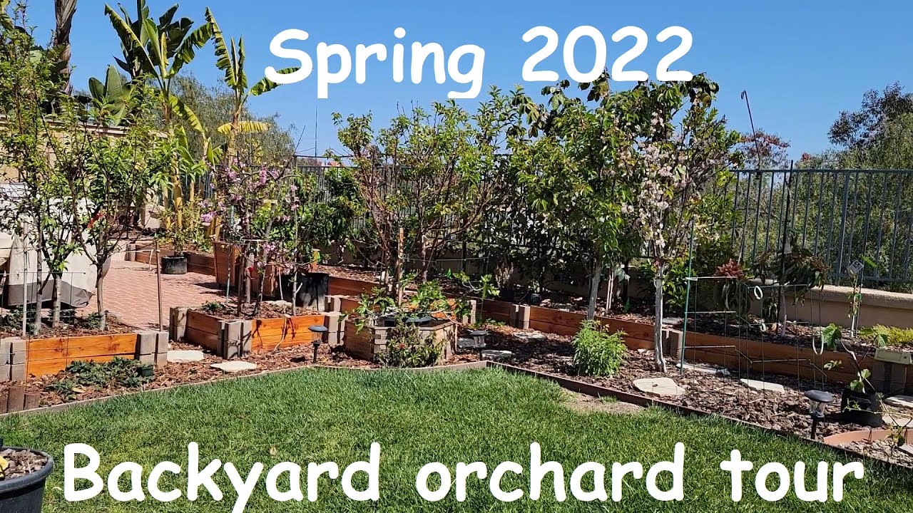 2022 backyard orchard Spring tour - YouTube