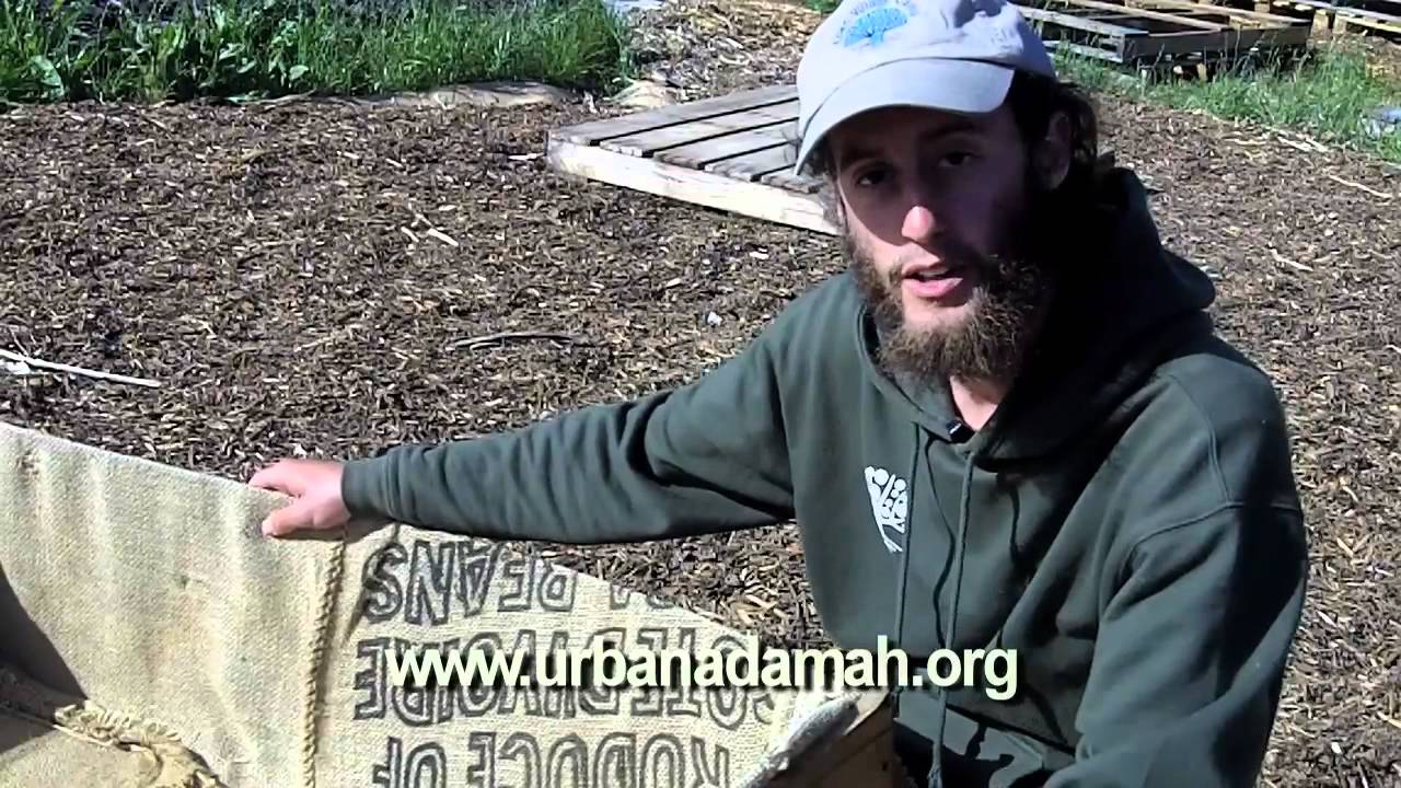 Urban Adamah Making Movable Growing Beds Demo - YouTube