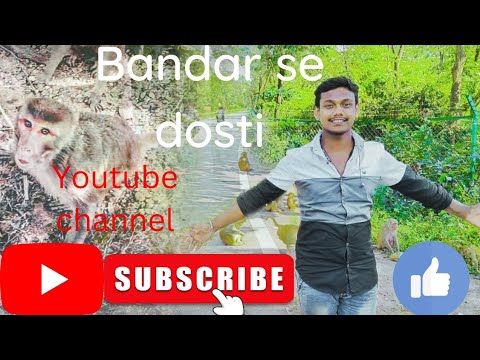 Bandar (Monkey) Se Dosti 😱|| Narsapur Forest Urban Park || It's sajib vlog Rider - YouTube