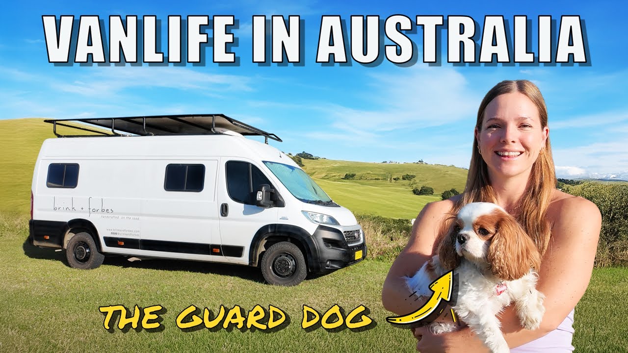 Van Life Reality in Australia | 24hour Vlog - YouTube