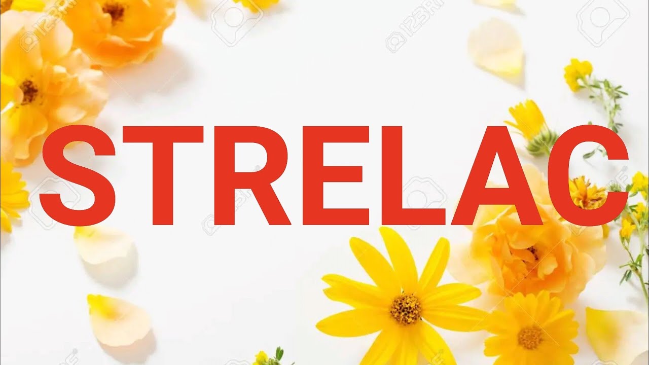 STRELAC AVGUST 2023. TAROT ČITANJE ️ ASTRO DOBRA VILA - YouTube