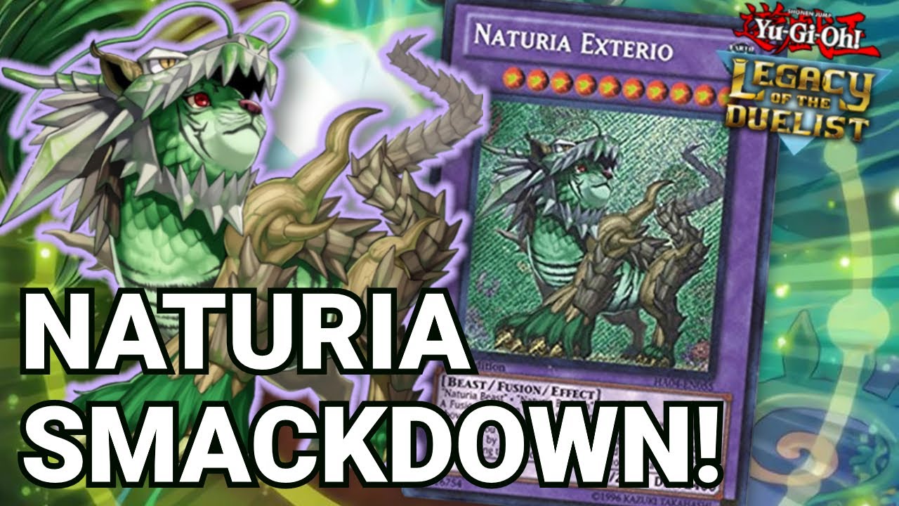 Naturia Deck 2020 - Yu-Gi-Oh! Gameplay (PS4) - This Deck WRECKS! - YouTube