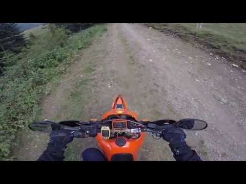 Ilgaz Büyük Hacet Tepesinde Köpeklerin Saldırısı