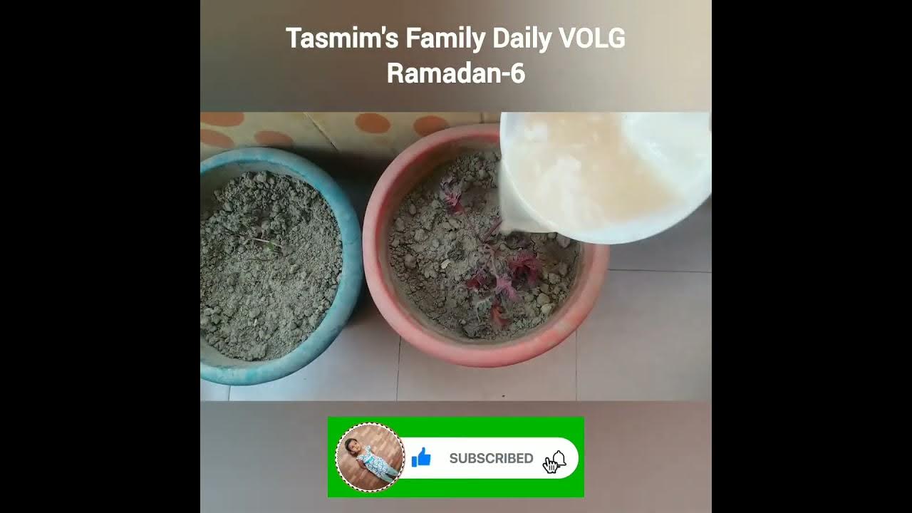 Tasmim's Family Daily VLOG | Ramadan-6 | তাসমীম’স ফেমিলি ডেইলি ব্লগ #trending #ramadan #shorts # ...