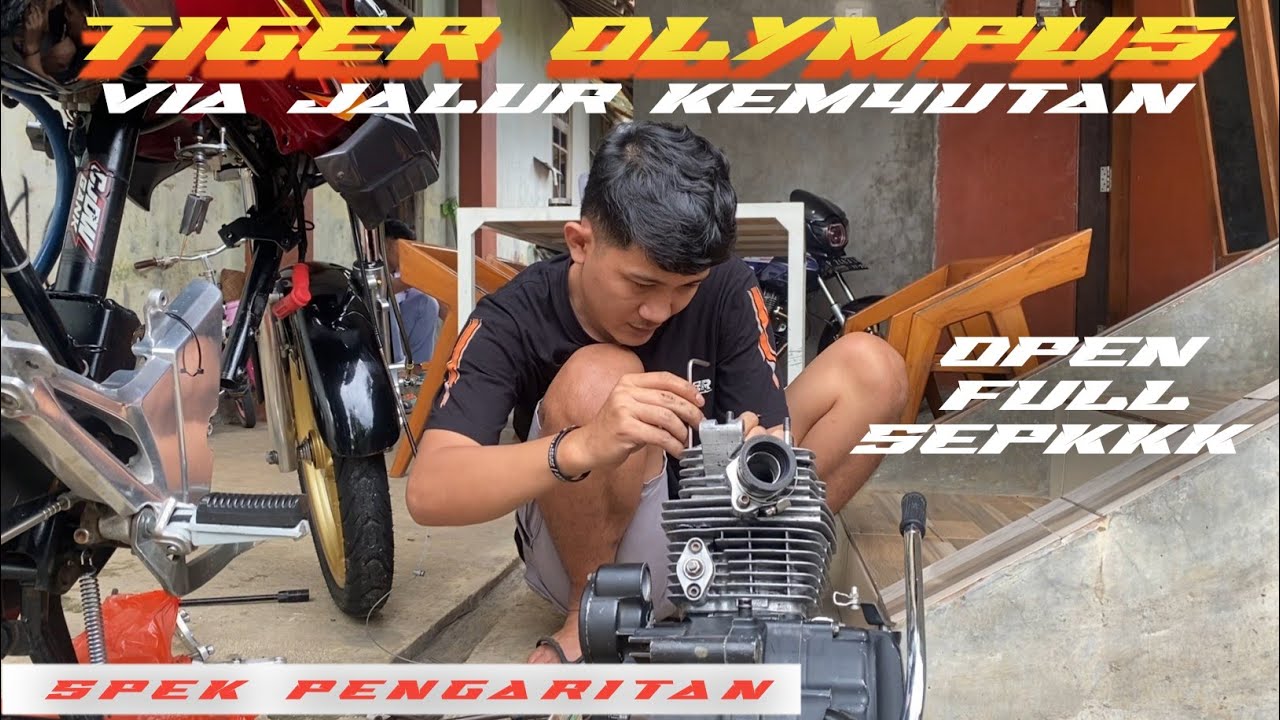 PREPARE TIGER OLYMPUS MODE PENGARITAN & TRABAS VIA JALUR KEM4UTAN ...