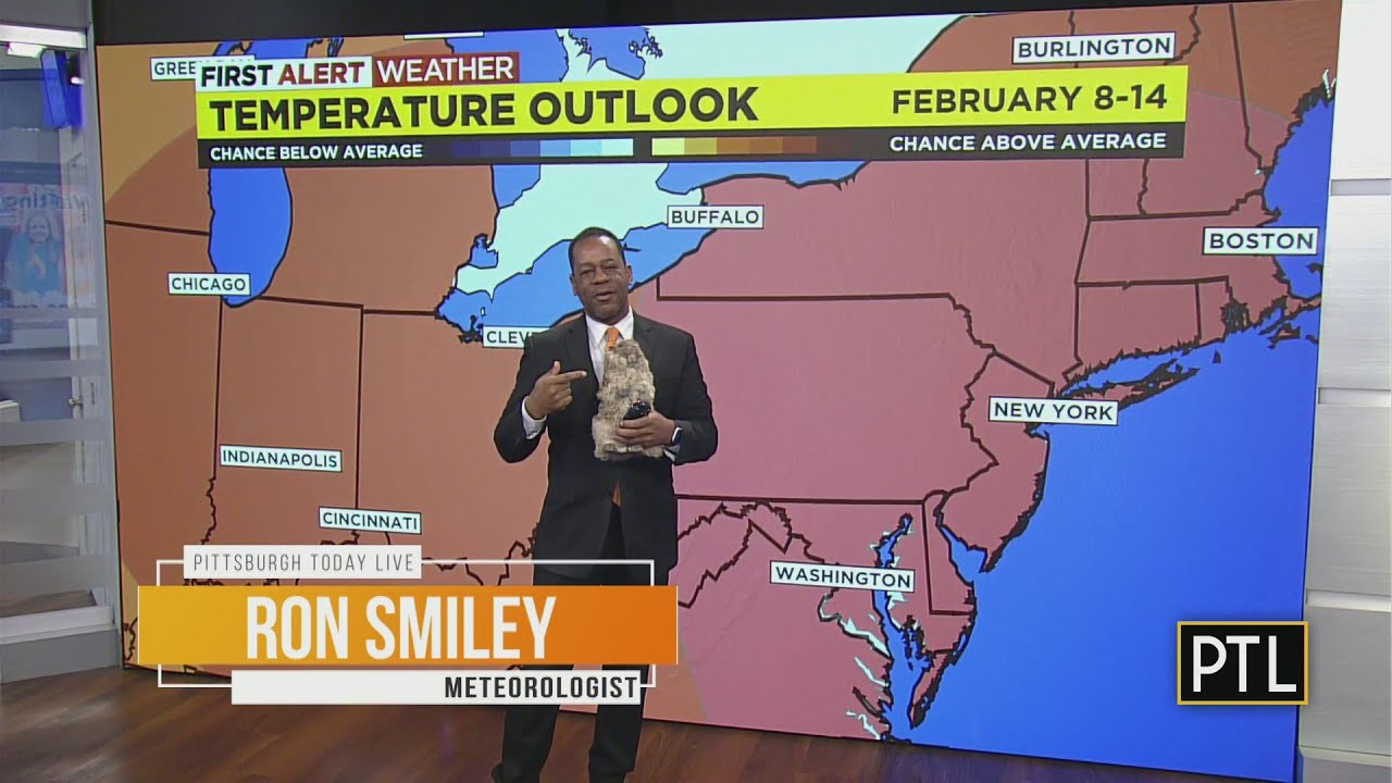 Hey Phil! Winter or Spring? - YouTube