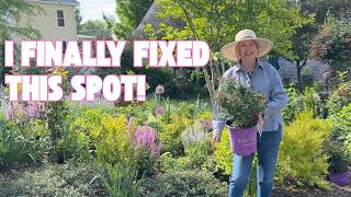 Driveway Trouble Spot Gets a Makeover | Adding Height Color and Low Maintenance!