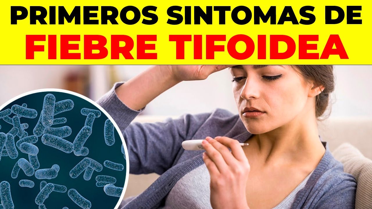 No Ignores Estos Primeros Síntomas De Tifoidea - Puedes Tener Esta ...