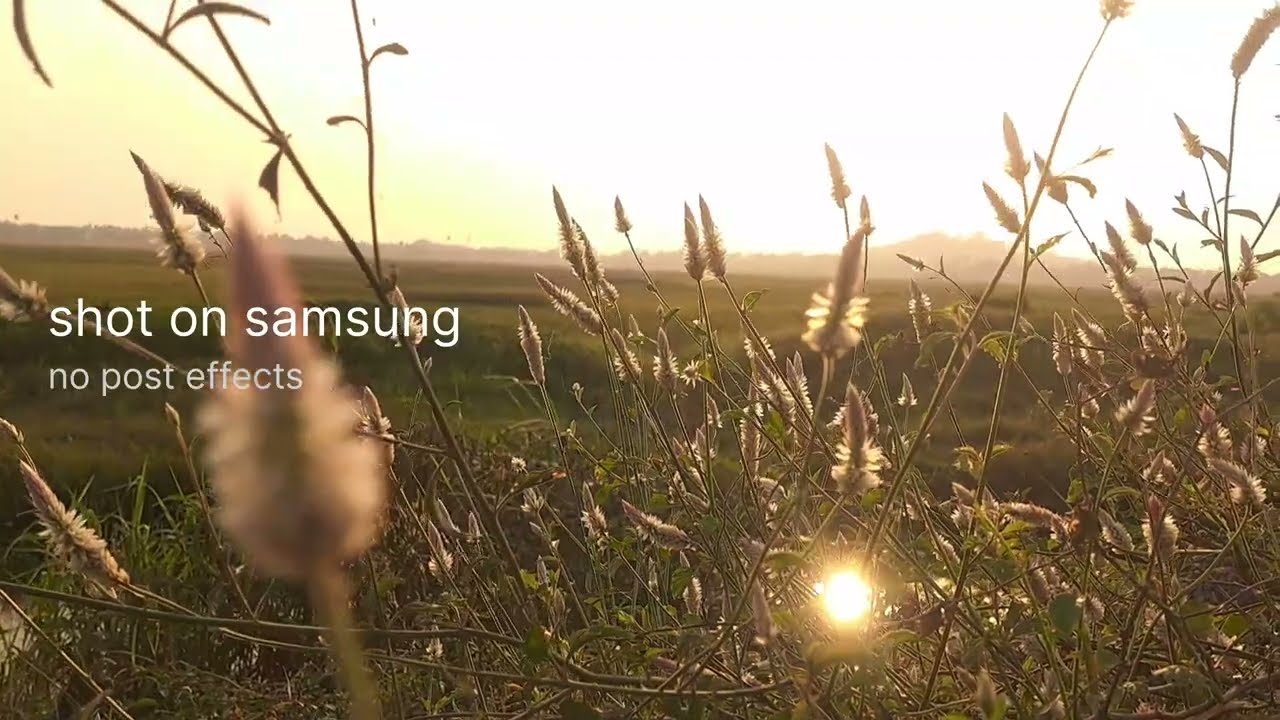 Galaxy A53 5G Cinematic 4K: Filmed #withGalaxy | Samsung