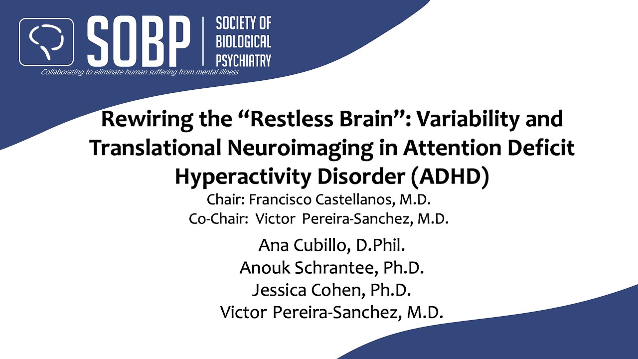 Rewiring the “Restless Brain”: Variability & Translational Neuroimaging ...