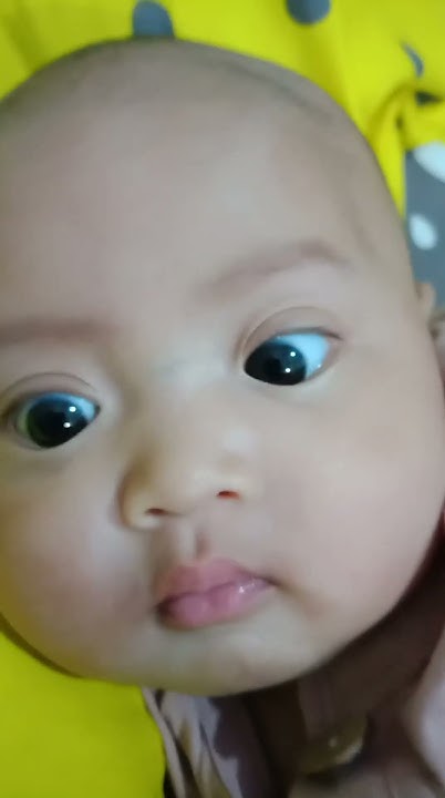 Emang boleh sebulat ini vel 😆😘😘😘 - YouTube