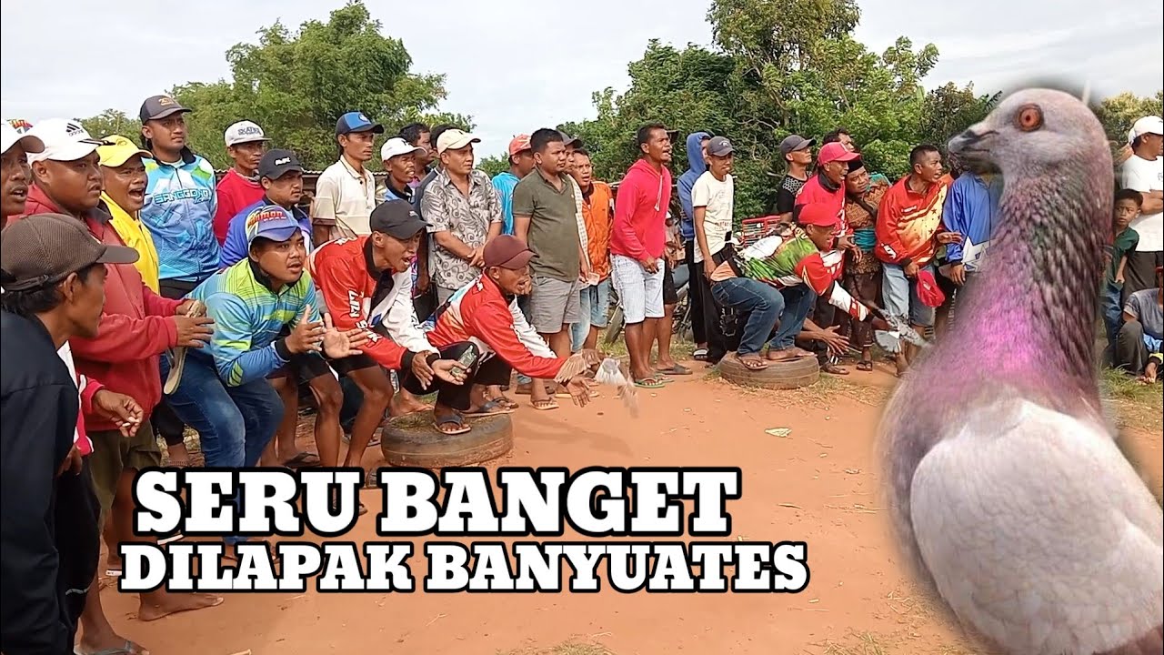 Merpati balap sprint di lapak Banyuates Madura 1 Jan 2026 - YouTube
