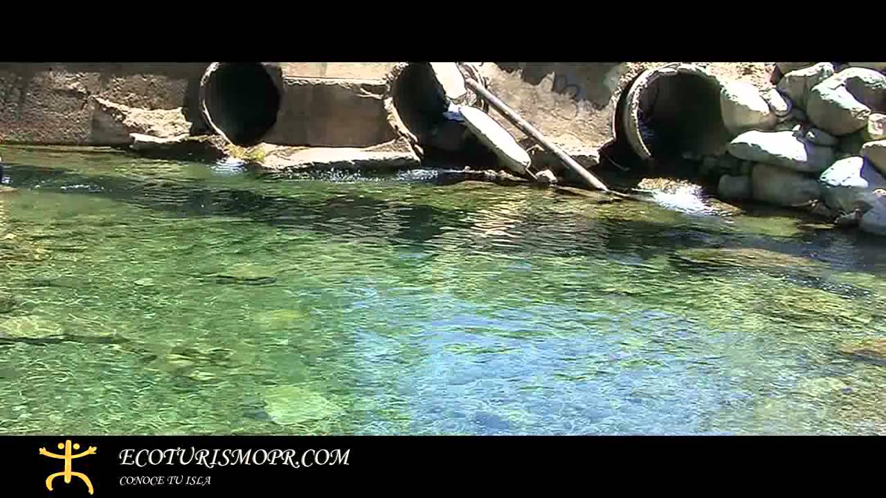 Rio Inabón Puente colgante hamaca - YouTube