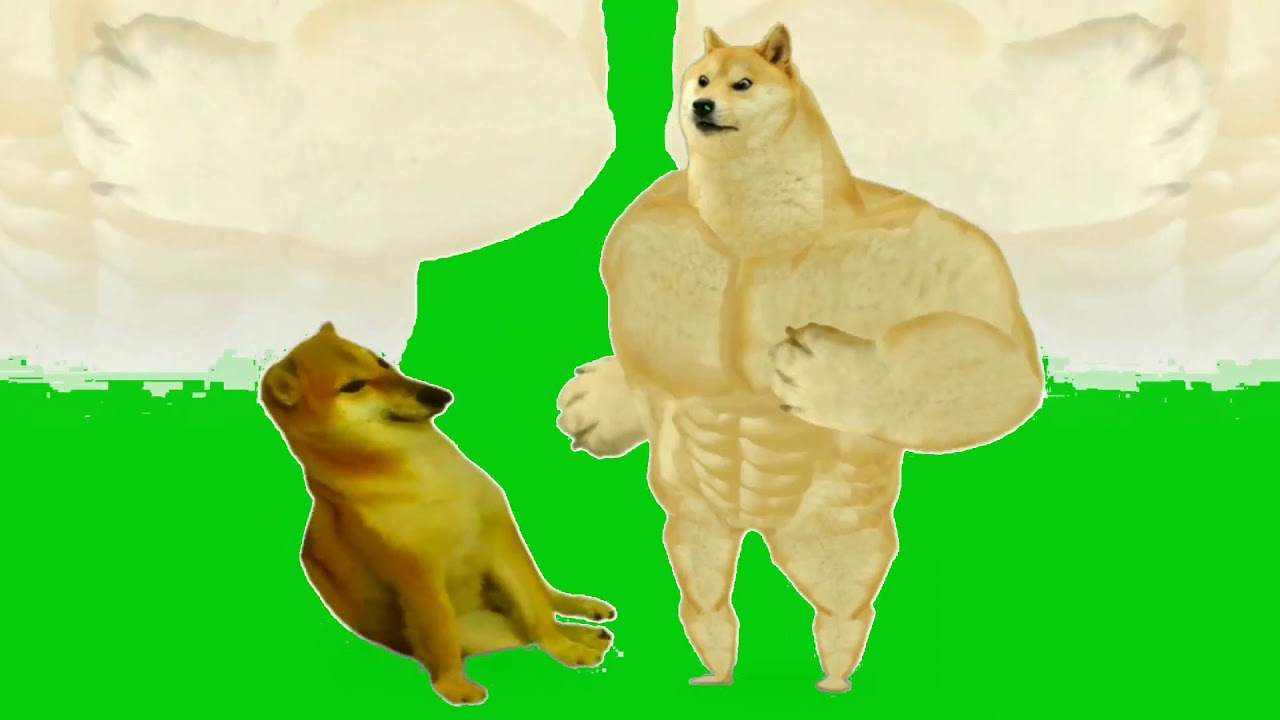 Cheems Doge getting punch Green screen Video Rare unique meme Template ...