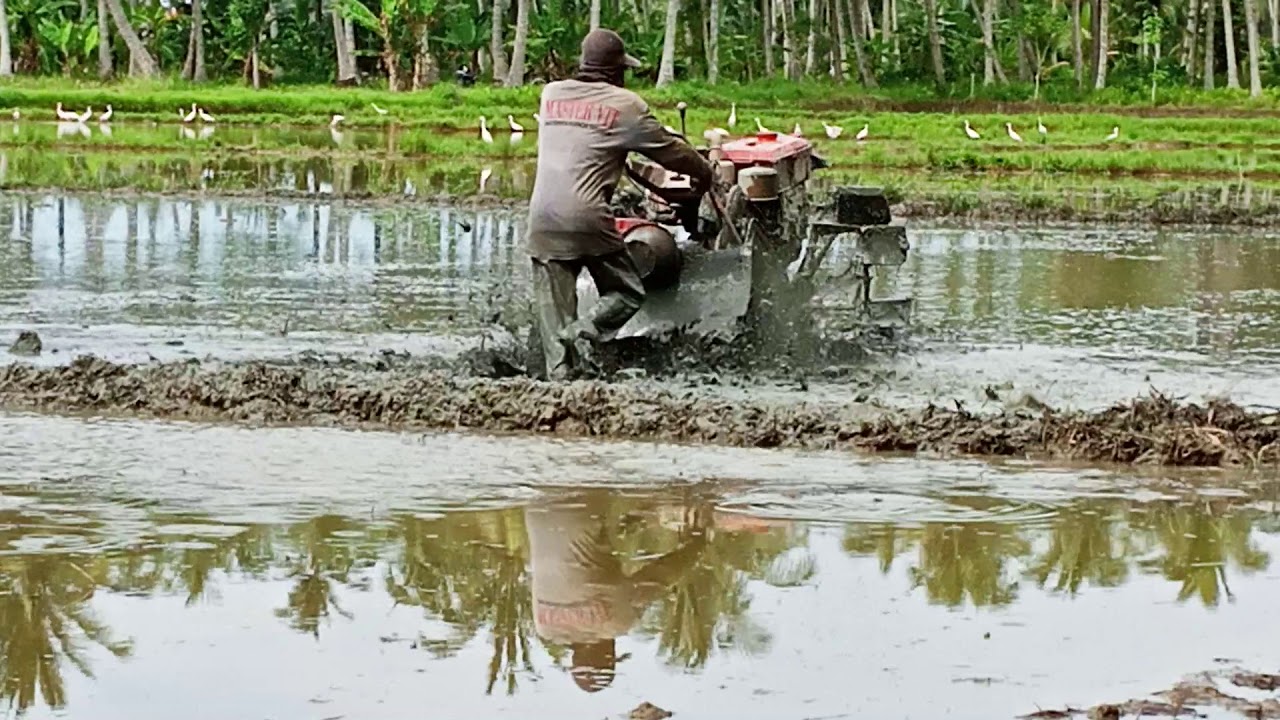 Traktor Quick Bajak Sawah Terbaru - YouTube