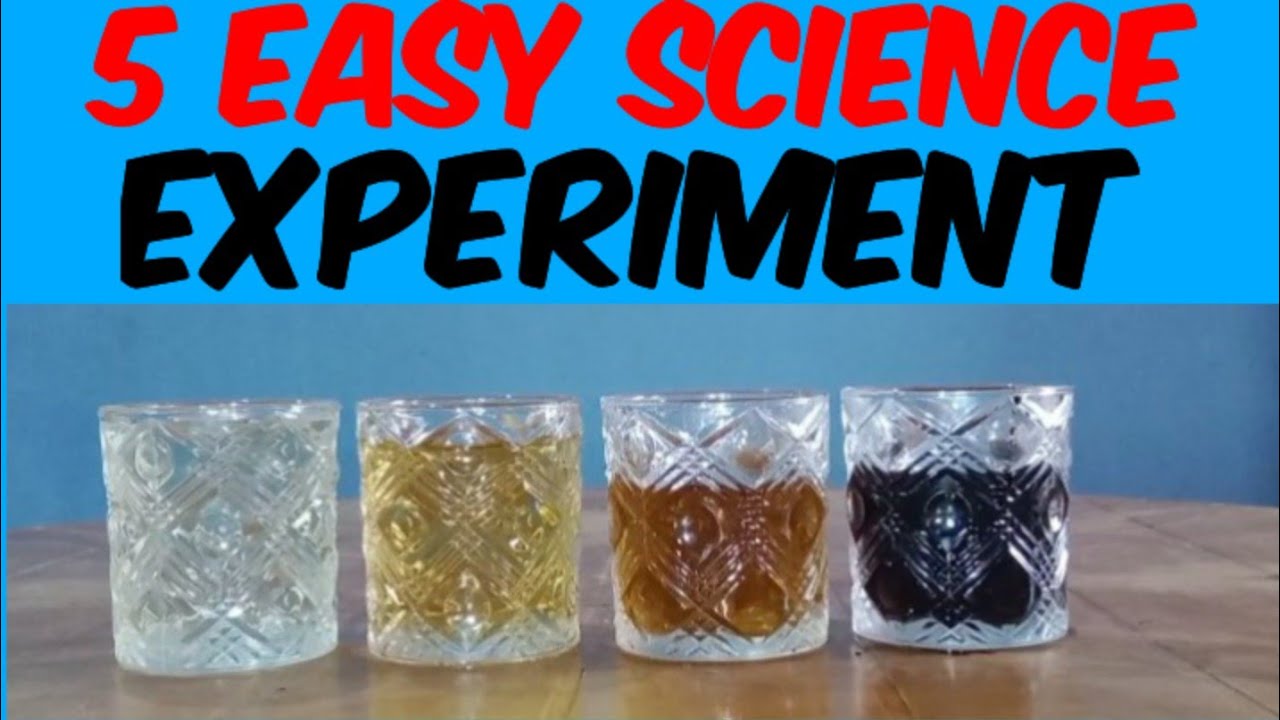 5 easy science experiments | experiment | science experiments | # ...