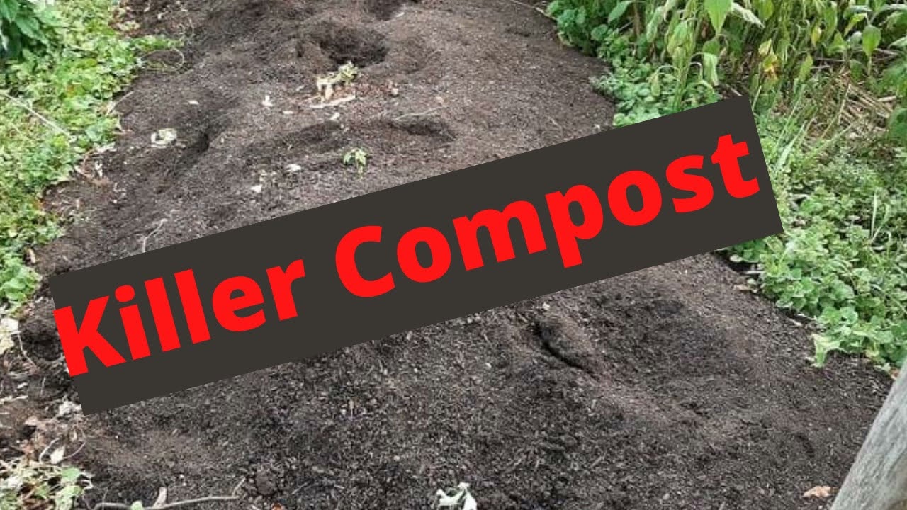Killer compost know your source - Audio clip - YouTube