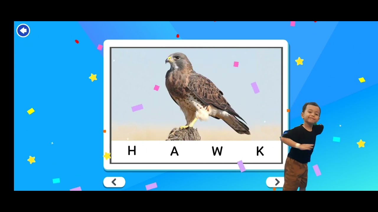 Slider Puzzles Birds (Puzzle Burung) #games #play #study - YouTube