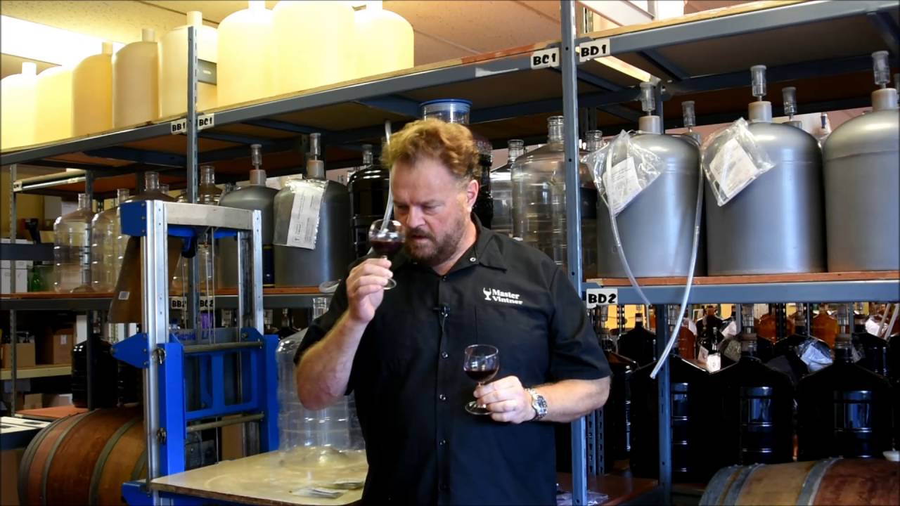 Grape Skin Experiment, Master Vintner - YouTube