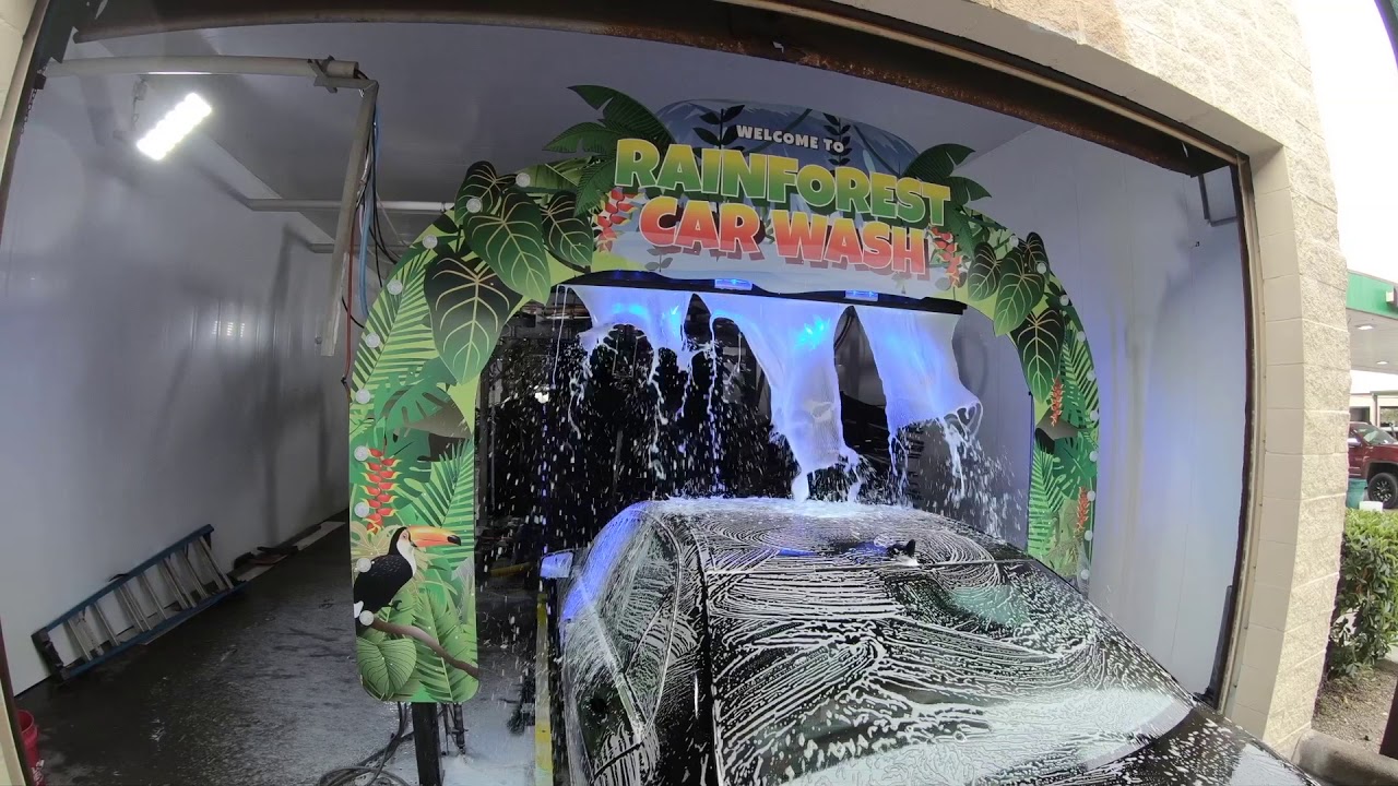 Rainforest - YouTube