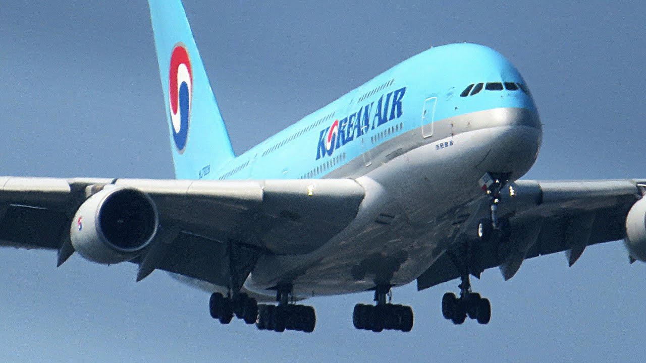 HEAVIES!! New York JFK Plane Spotting - Kalitta Air, Omni Air, National ...