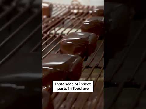 How Many Insects Legs Are In A Average Chocolate Bar
