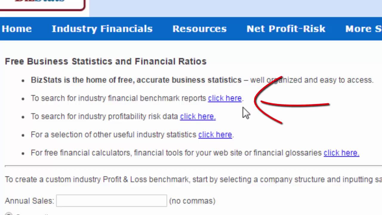 Using BizStats - YouTube