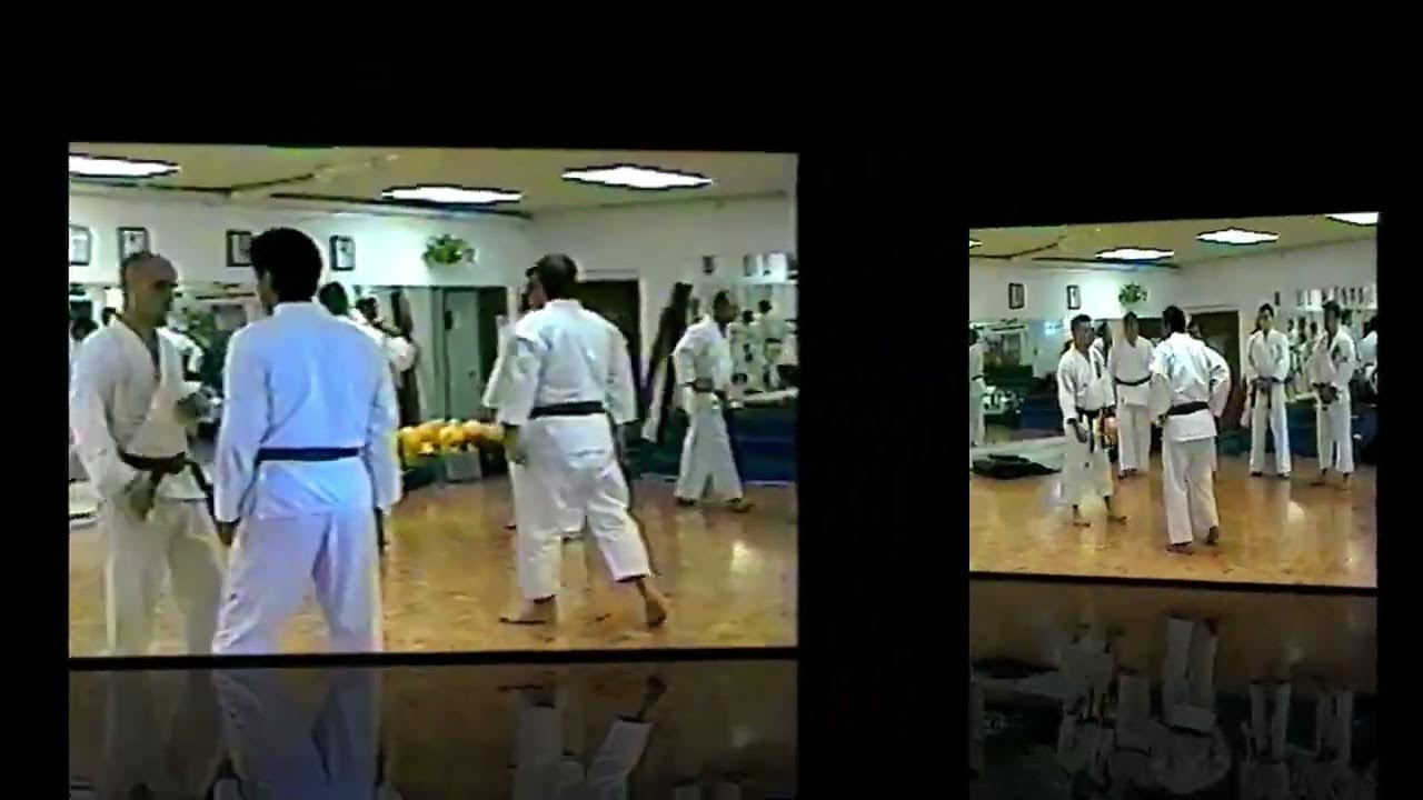 Michael Calandra Chinto Bunkai #1 NJ 1990's Isshin Ryu Karate Seminar - YouTube