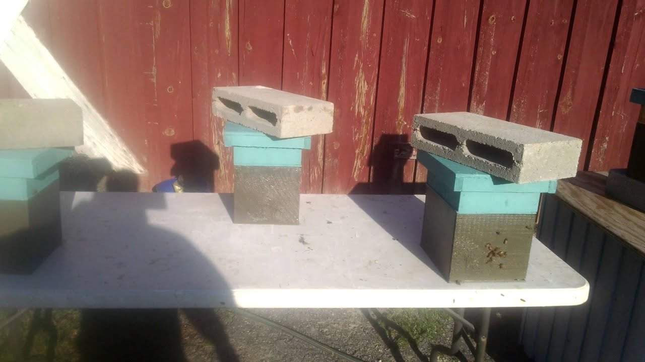 Queen Mating Mini Nuc Set Up - YouTube