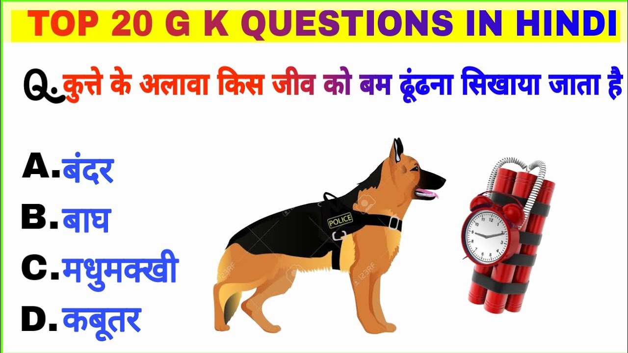 G.K QUESTION //G K questions // gk ke question // gk academy// gk quiz ...