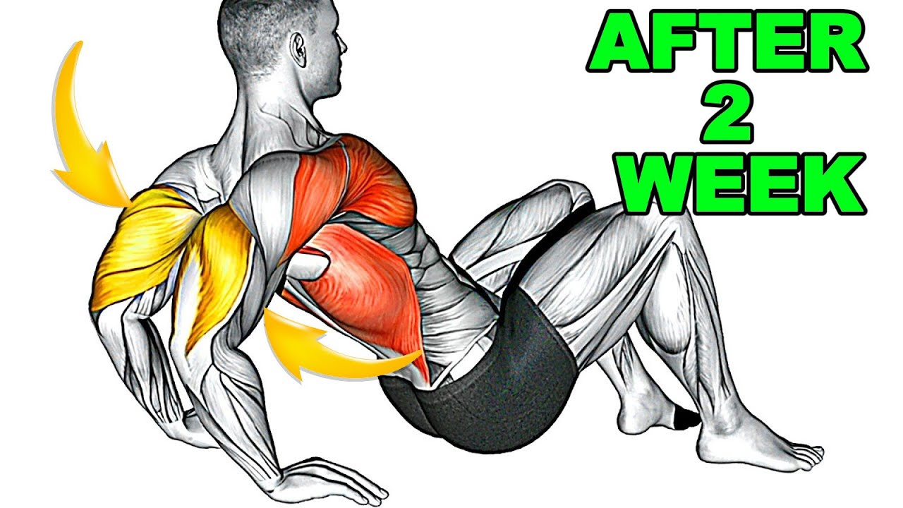 Shape Your Triceps: Efficient Home Exercises for Well-Defined Arms ...
