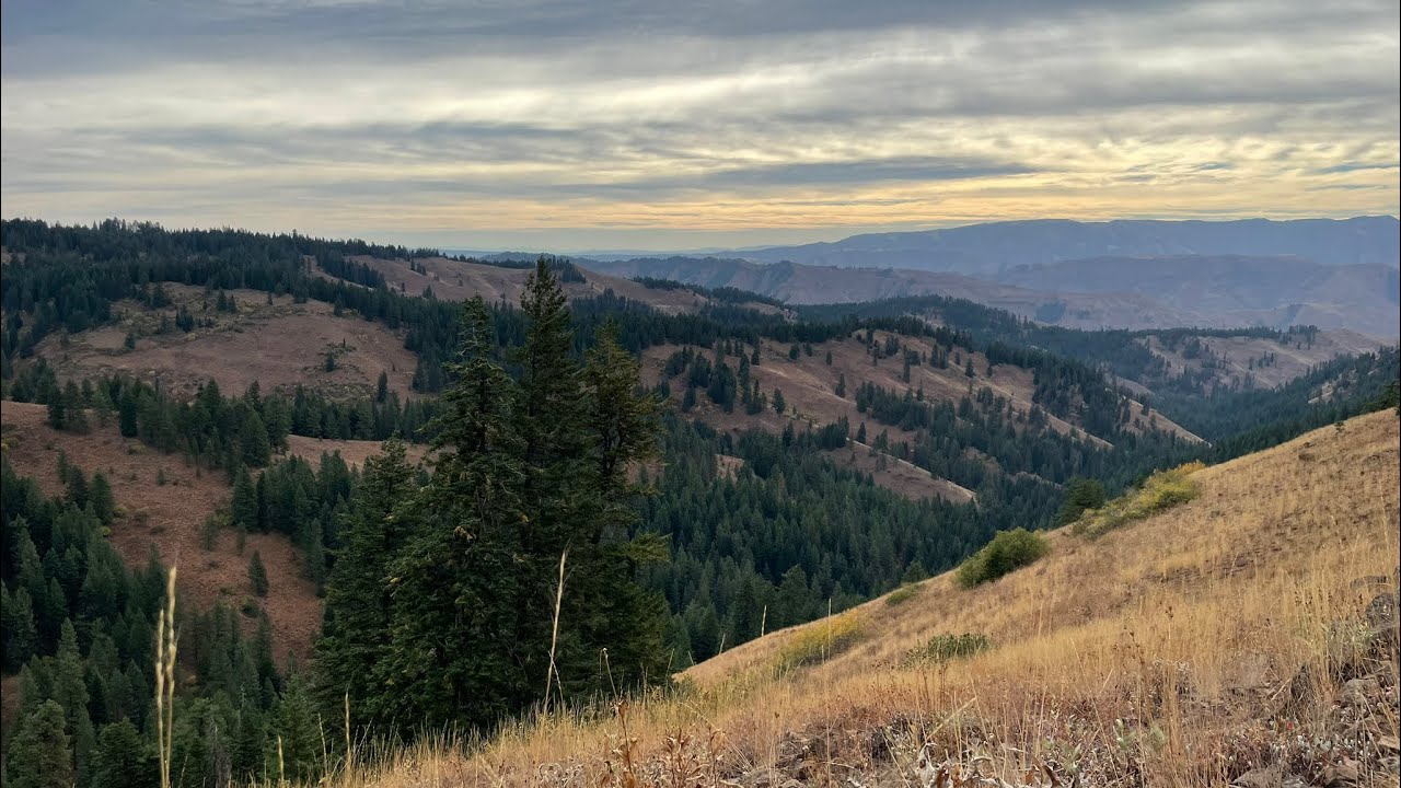 2024 Eastern Oregon Archery Elk Hunt | Hot and Smoky - YouTube