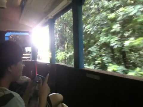 Hong Kong Disneyland - Ppl dun follow instruction + View of ...