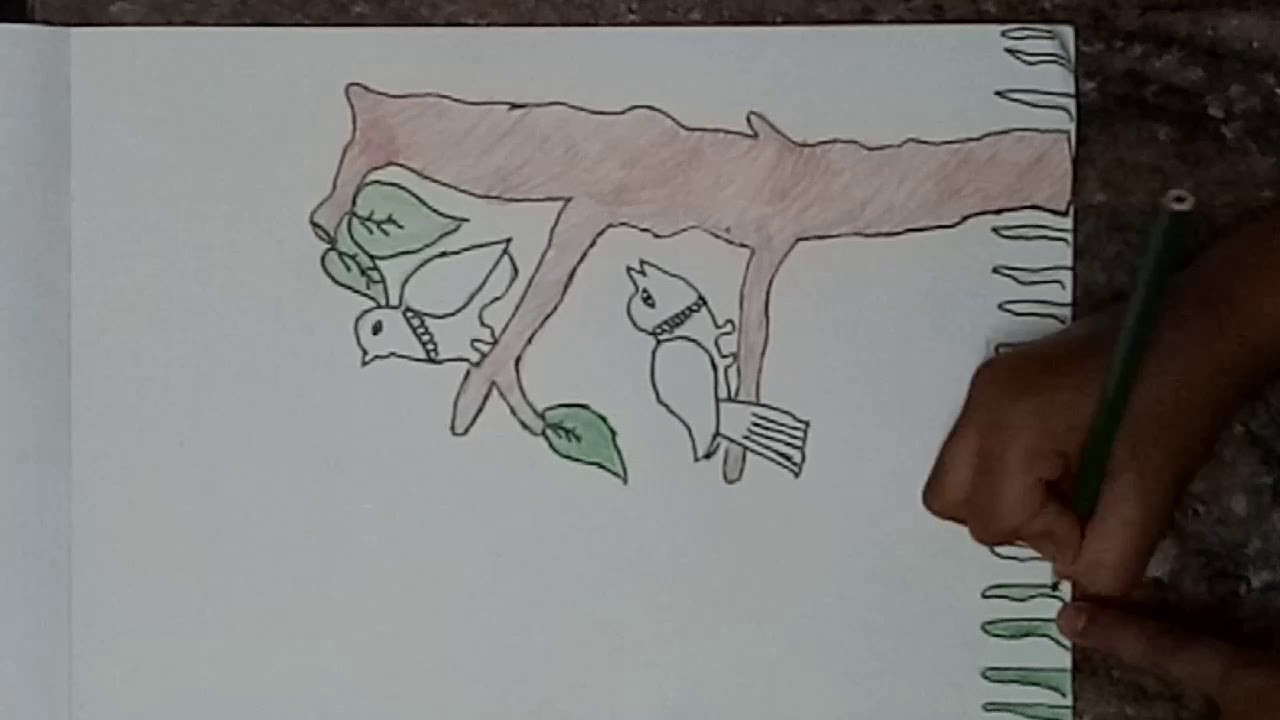 How to draw two birds on a tree easy drawing step by step - YouTube