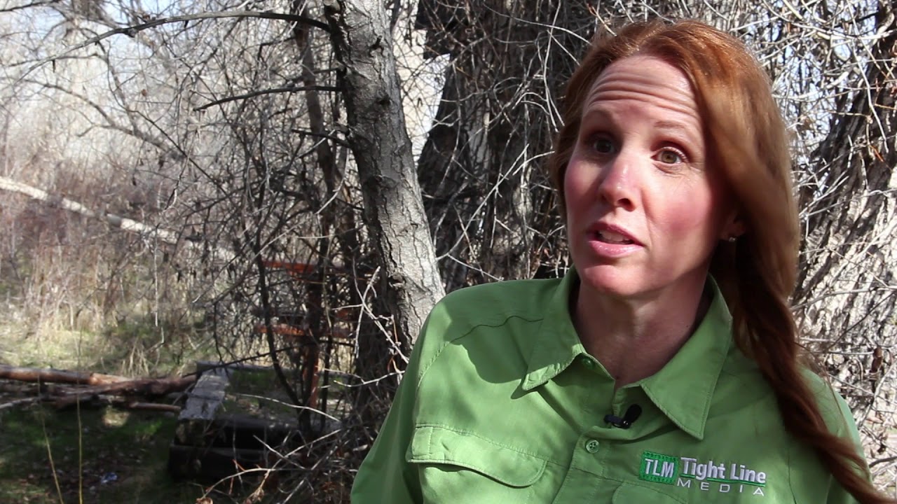 Outdoor Journalist - YouTube