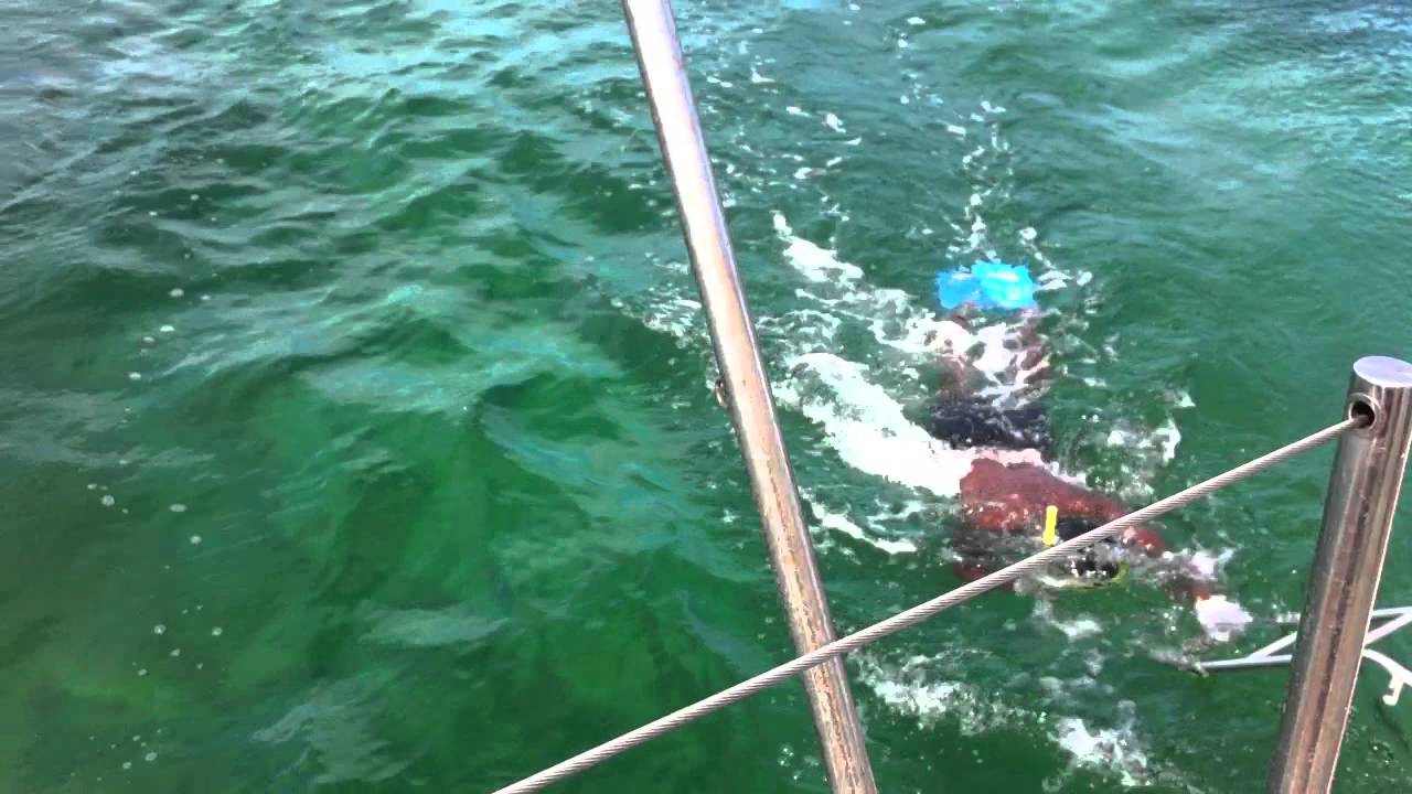 Lobster fishing off the Cuban Islands - YouTube