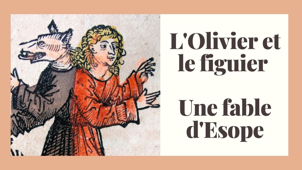 L'olivier et le figuier - une fable d'Esope - YouTube