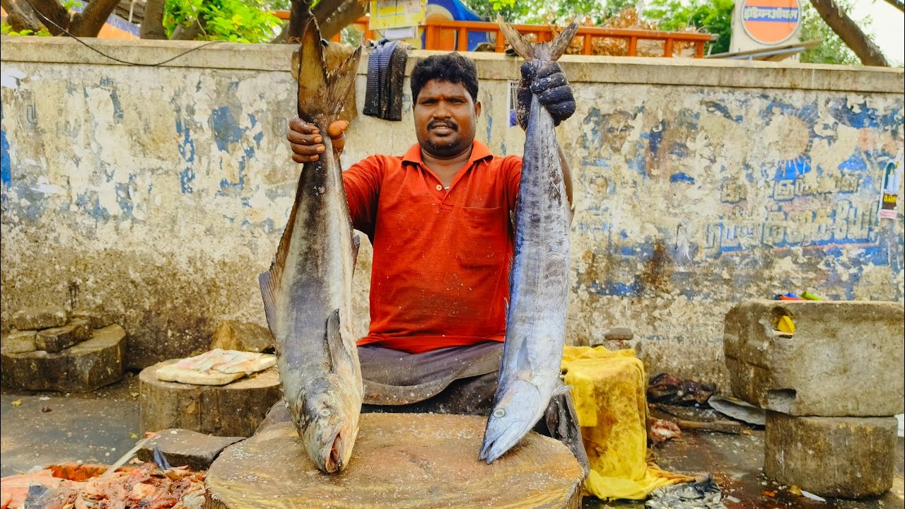 Kadal viral fish and Arakola fish cutting video/#kasimedufishmarket # ...